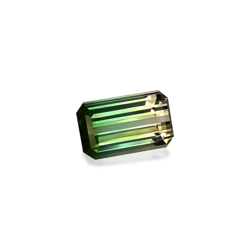 RECTANGULAR-cut bi colour tourmaline 23.83 carats